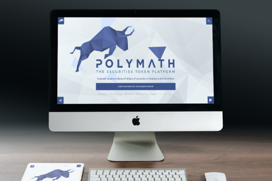 Polymath Early Prototype Webflow